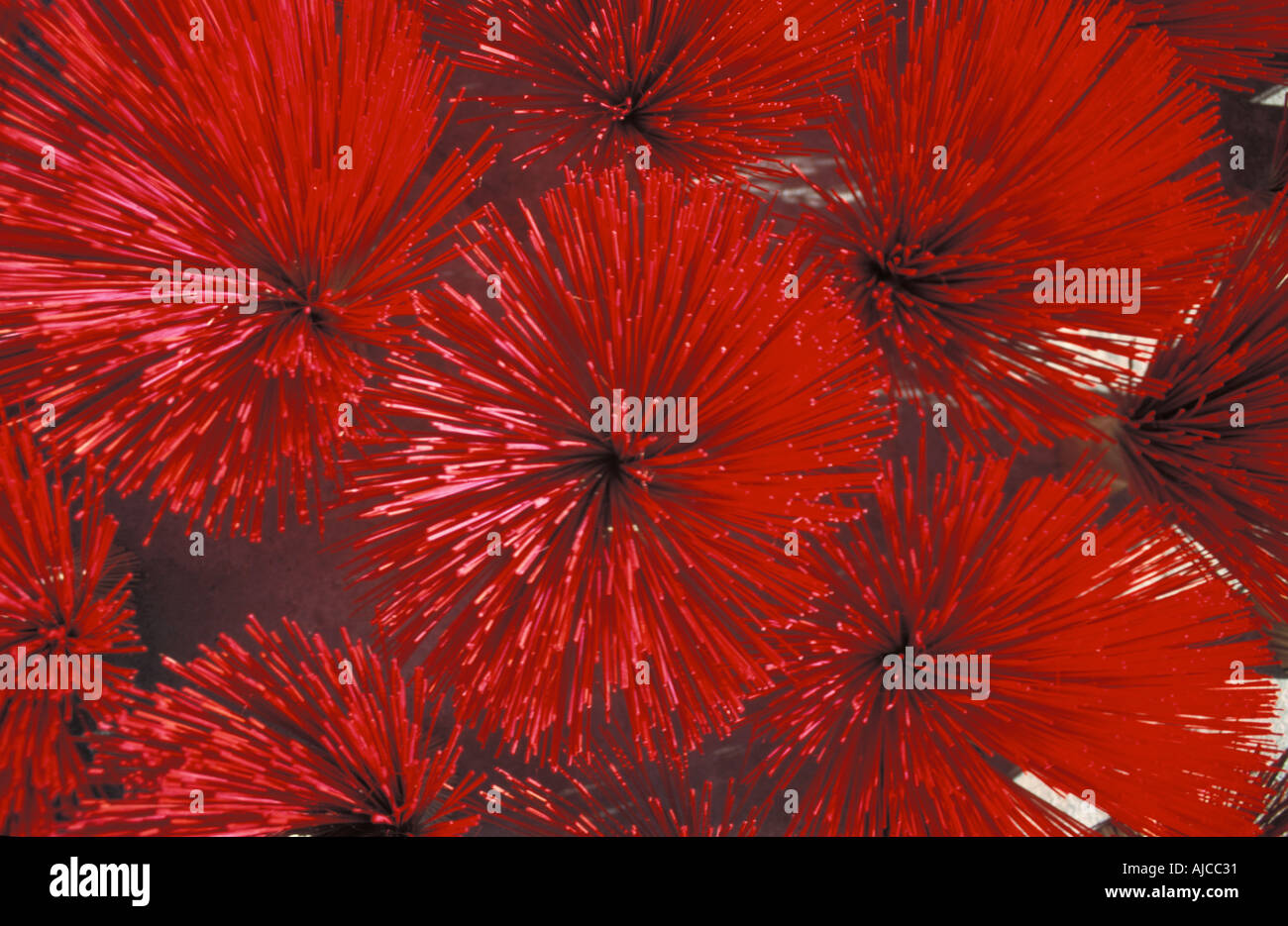 Bristles street hi-res stock photography and images - Alamy