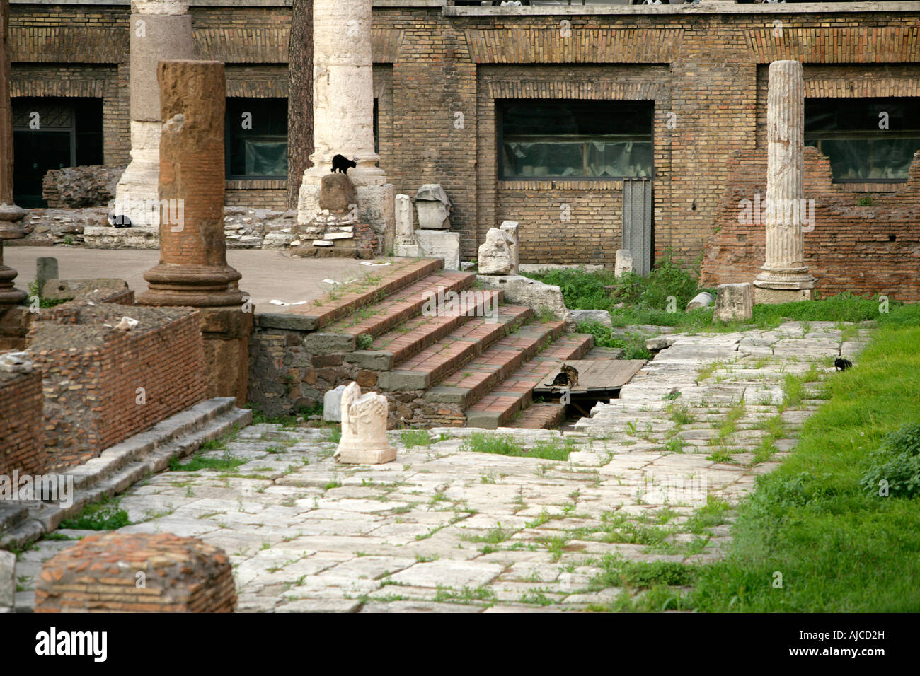 Earliest Ancient Roman Temples In The Largo Di Torre Argentina, Rome ...