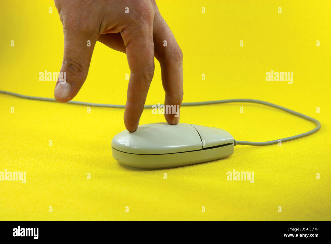 surfing on mouse in yellow background Stock Photo - Alamy