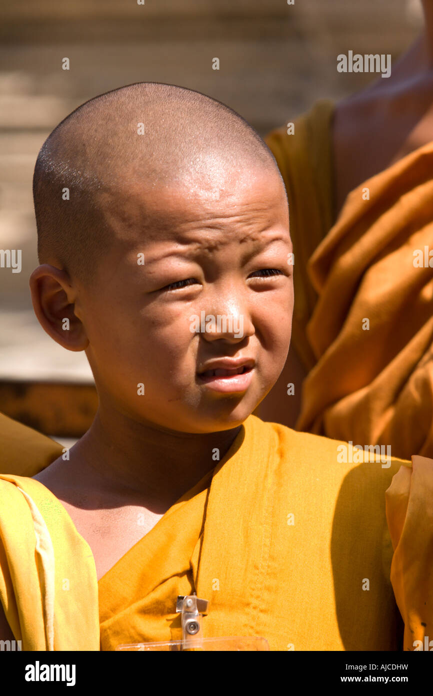 Young male monk, Thailand Stock Photo - Alamy