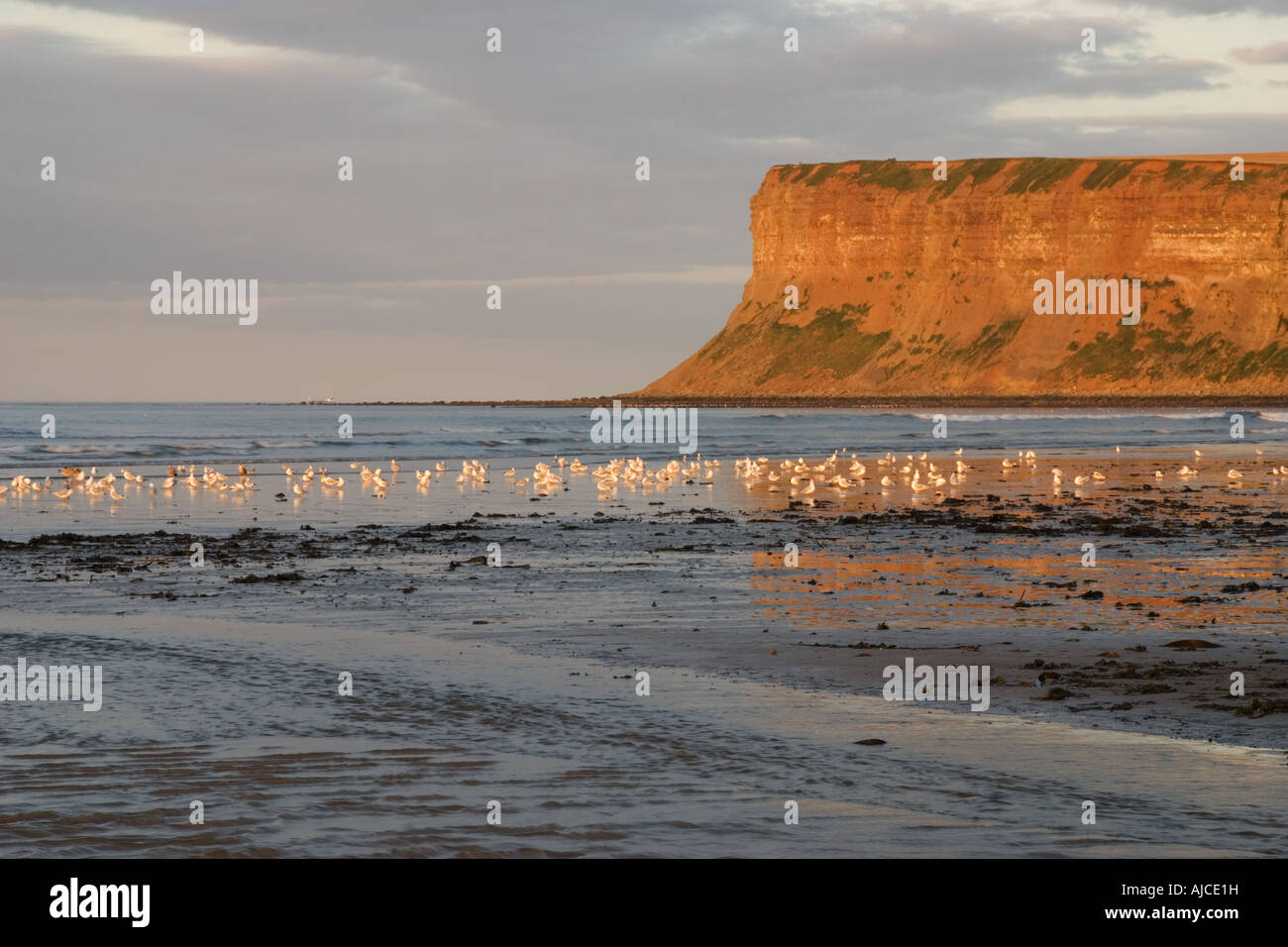 Cliffs at sunset at Saltburn, Yorkshire Stock Photo - Alamy