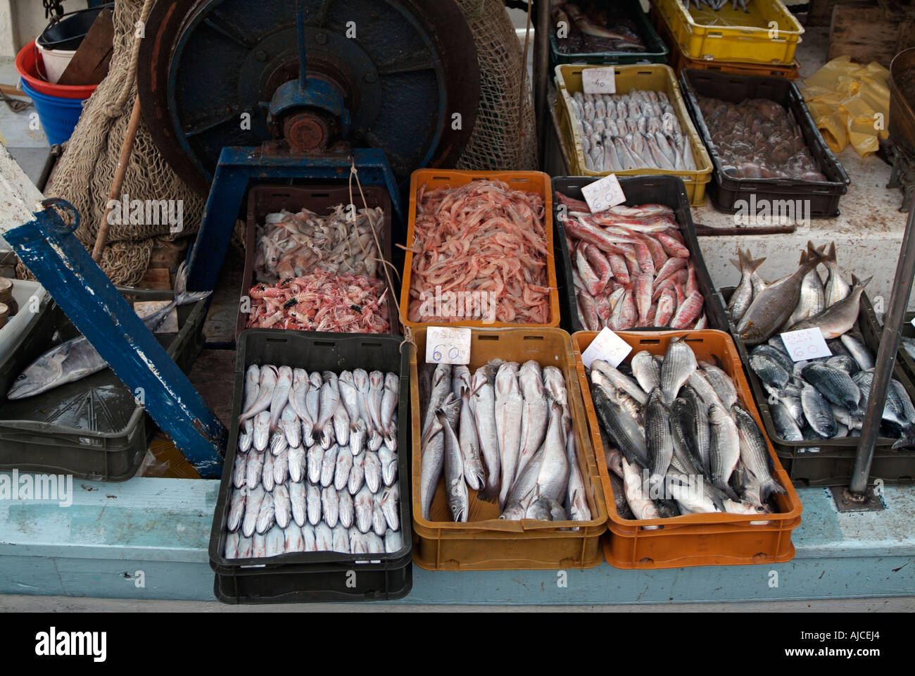 Freshly Caught Fish being Sold from the Deck of a Moored Fishing ...