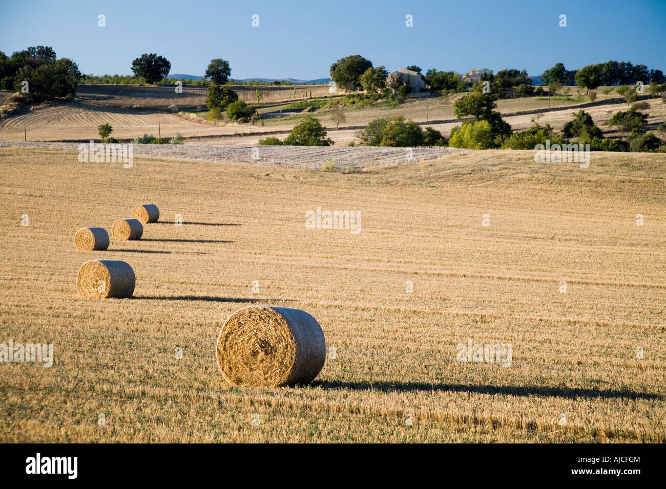 Hay rolls in a field Stock Photo - Alamy