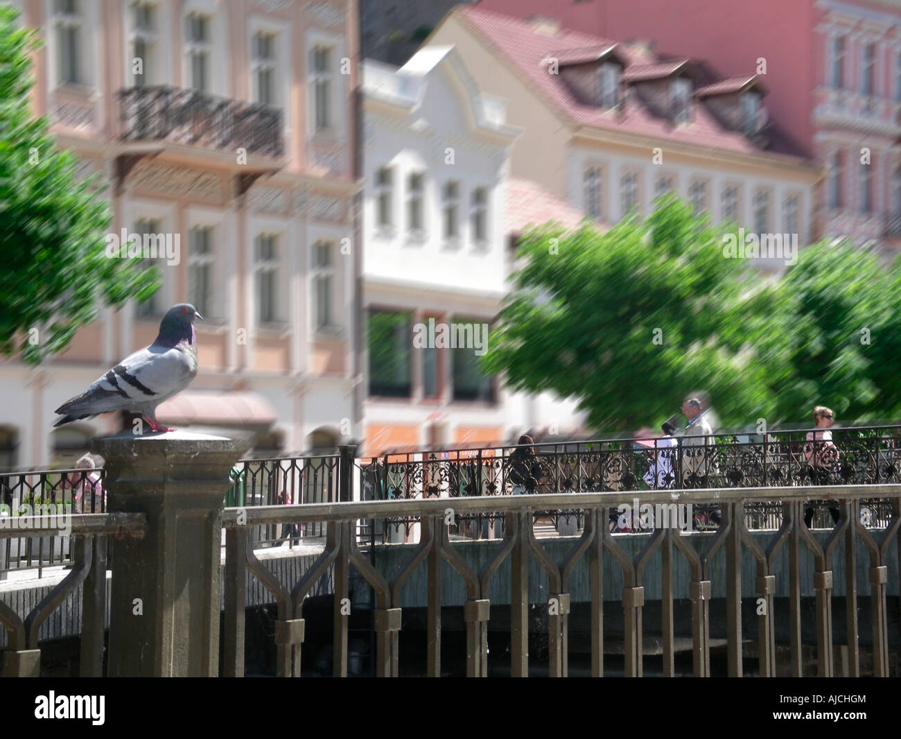 Pigeon house bridge hi-res stock photography and images - Alamy