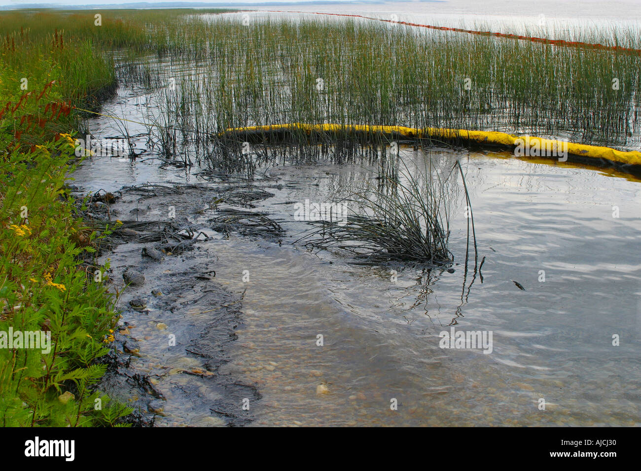 Oil spill - environmental disaster Stock Photo - Alamy