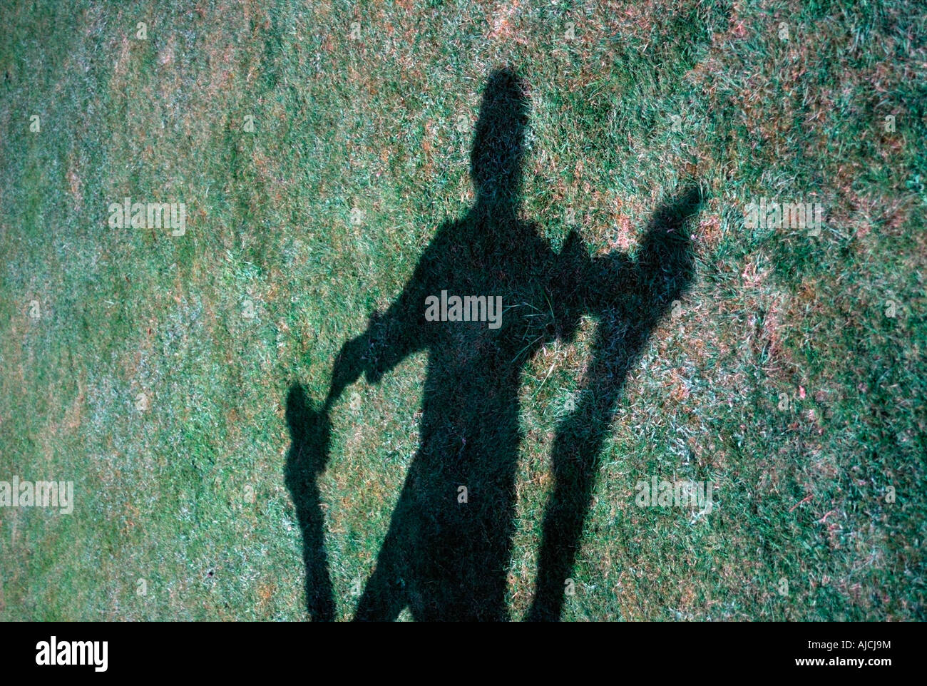 Ombra tree hi-res stock photography and images - Alamy