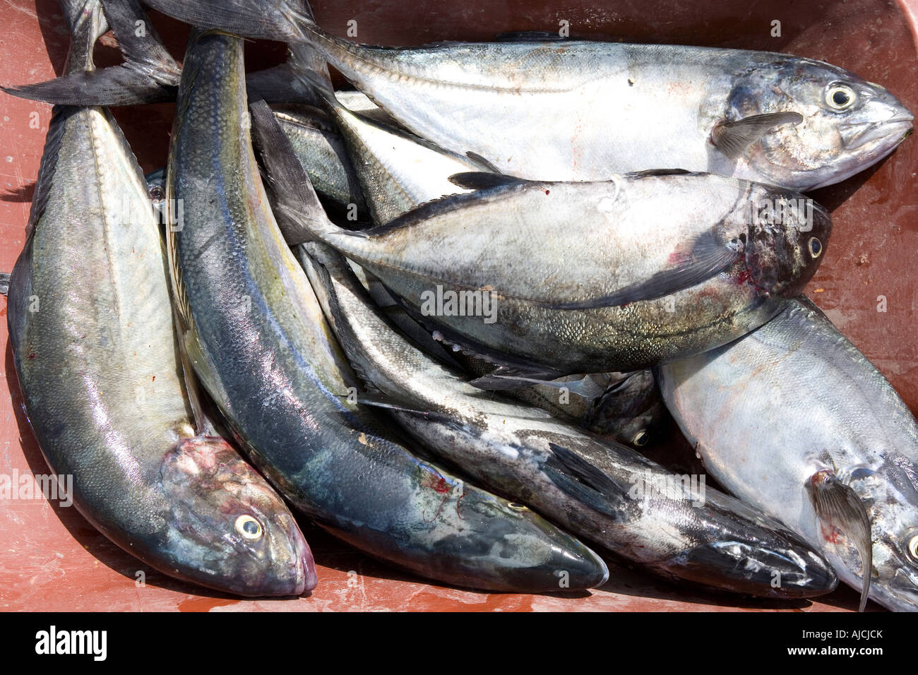 Inshore island hi-res stock photography and images - Alamy