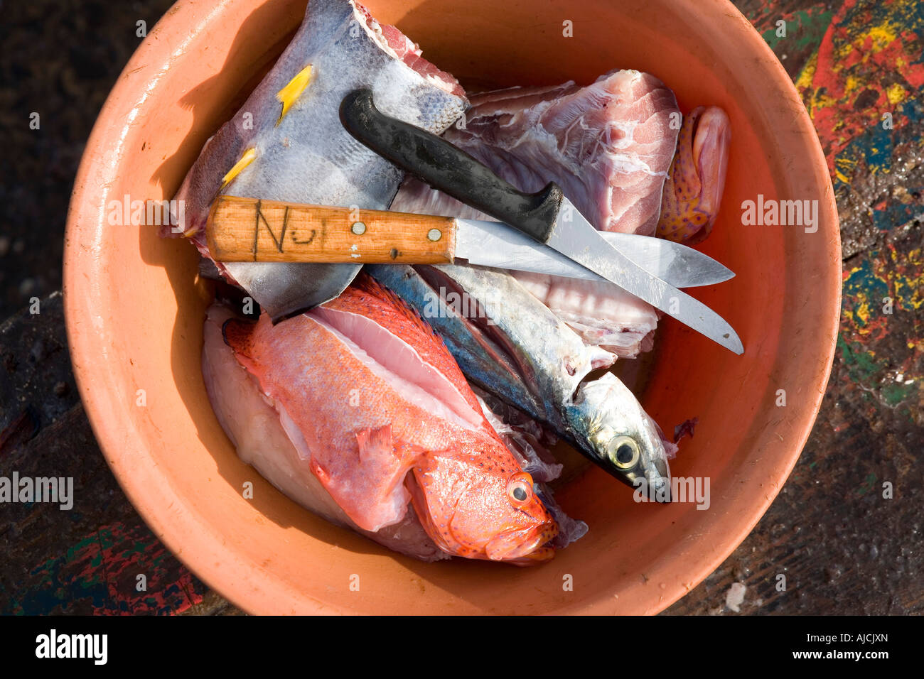 Fresh fish with knife in vessel Palmeira seaport Sal island Cape Verde ...