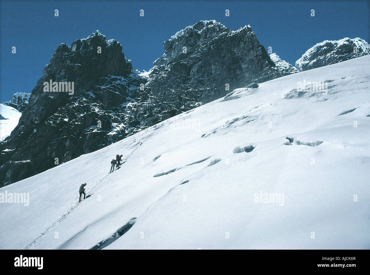 Mountaineers roped together to ascend a glacier with Points Margherita ...