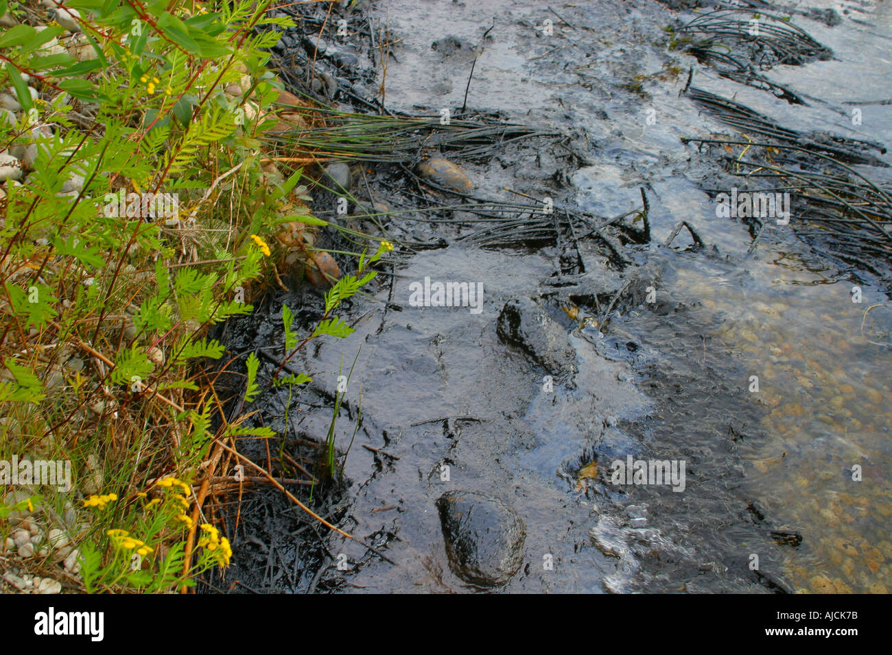 Oil spill - environmental disaster Stock Photo - Alamy