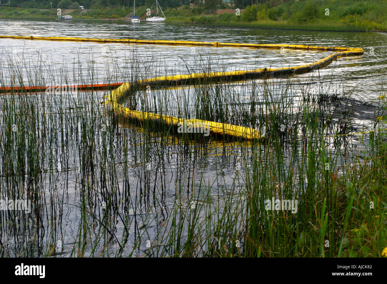 Oil spill - environmental disaster Stock Photo - Alamy