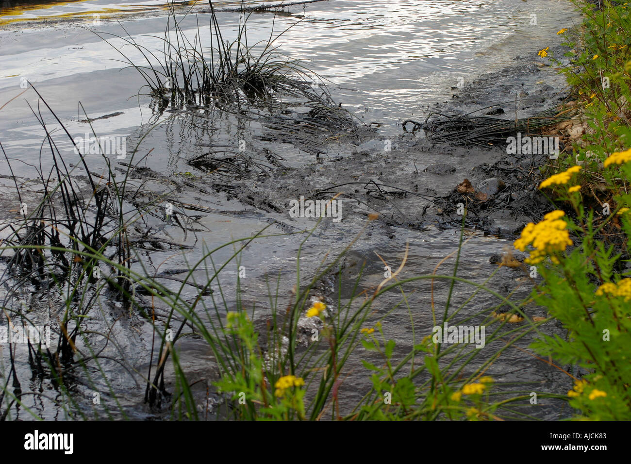 Oil spill - environmental disaster Stock Photo - Alamy