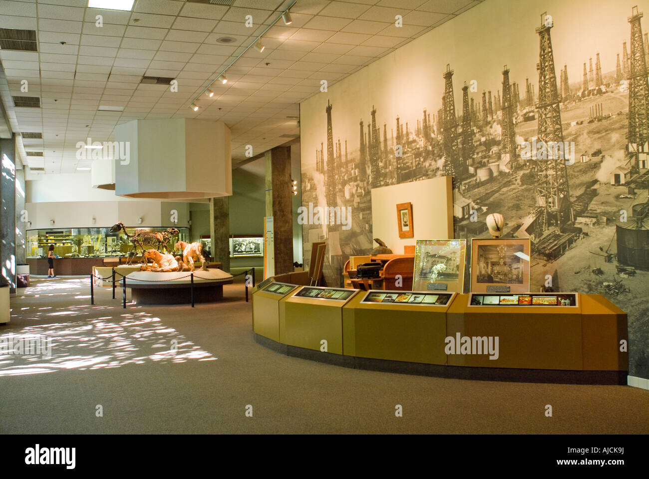 Interior display of George C Page Natural History Discovery Museum at ...
