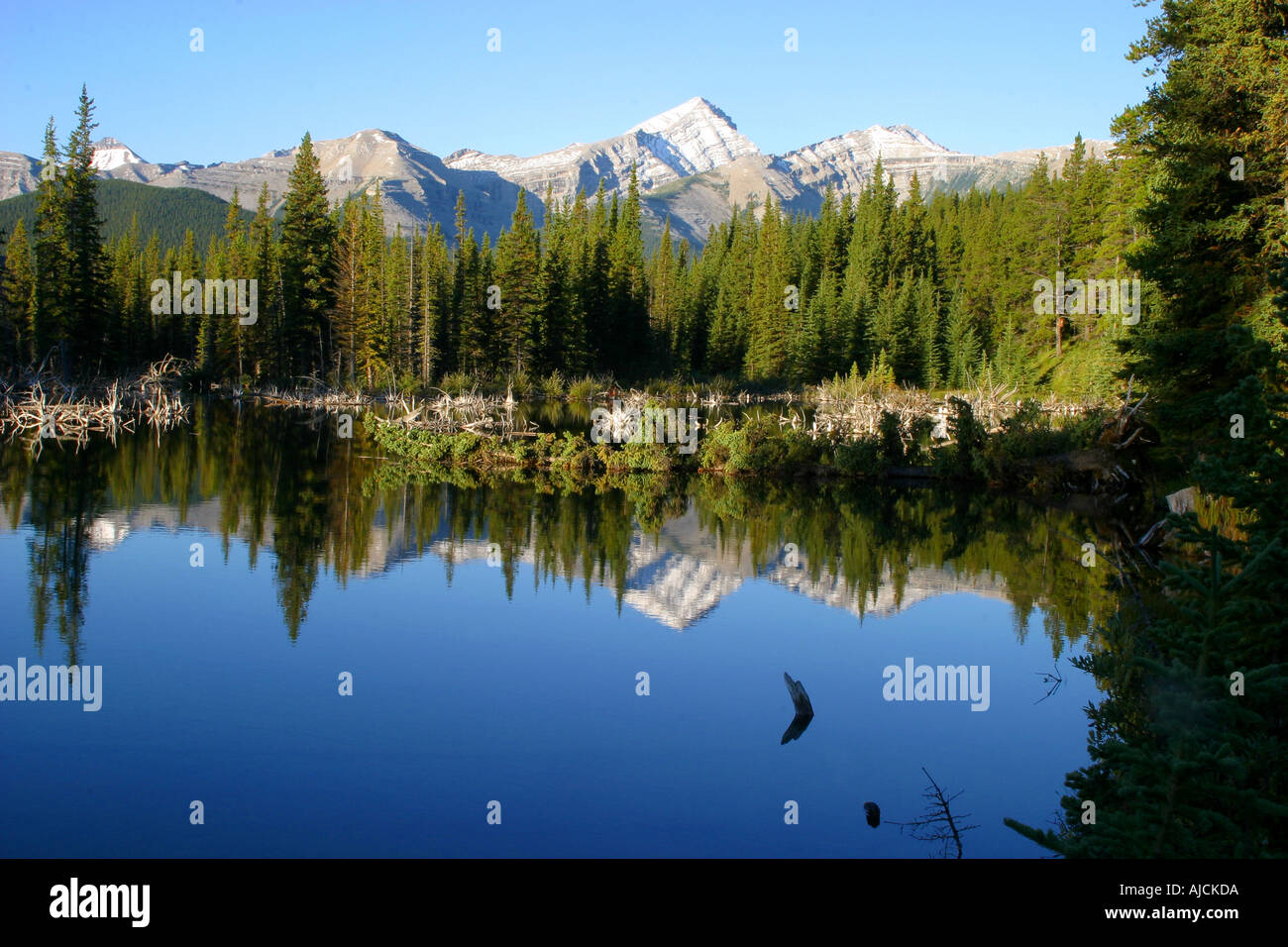 LANDSCAPE ; Banff National Park, Alberta, Canada Stock Photo - Alamy