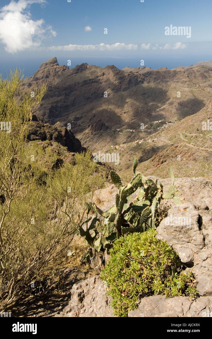 Masca valley Tenerife Canary Islands Spain Stock Photo - Alamy