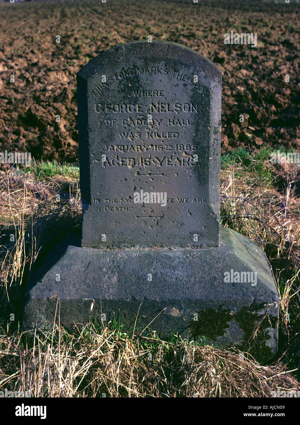 GEORGE NELSON OF CADEBY HALL Stock Photo - Alamy