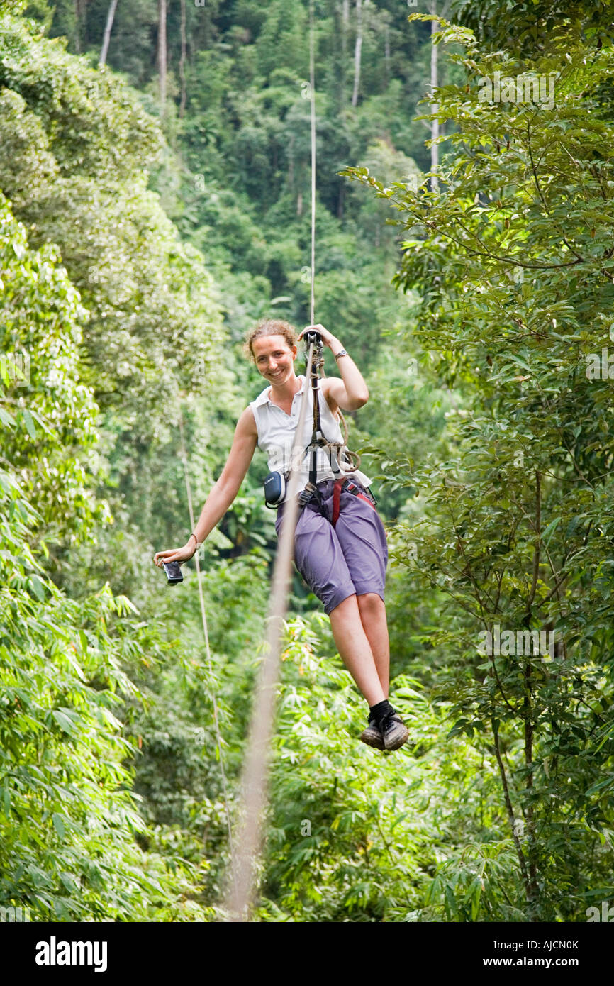 Gibbon zip line canopy tour hi-res stock photography and images - Alamy