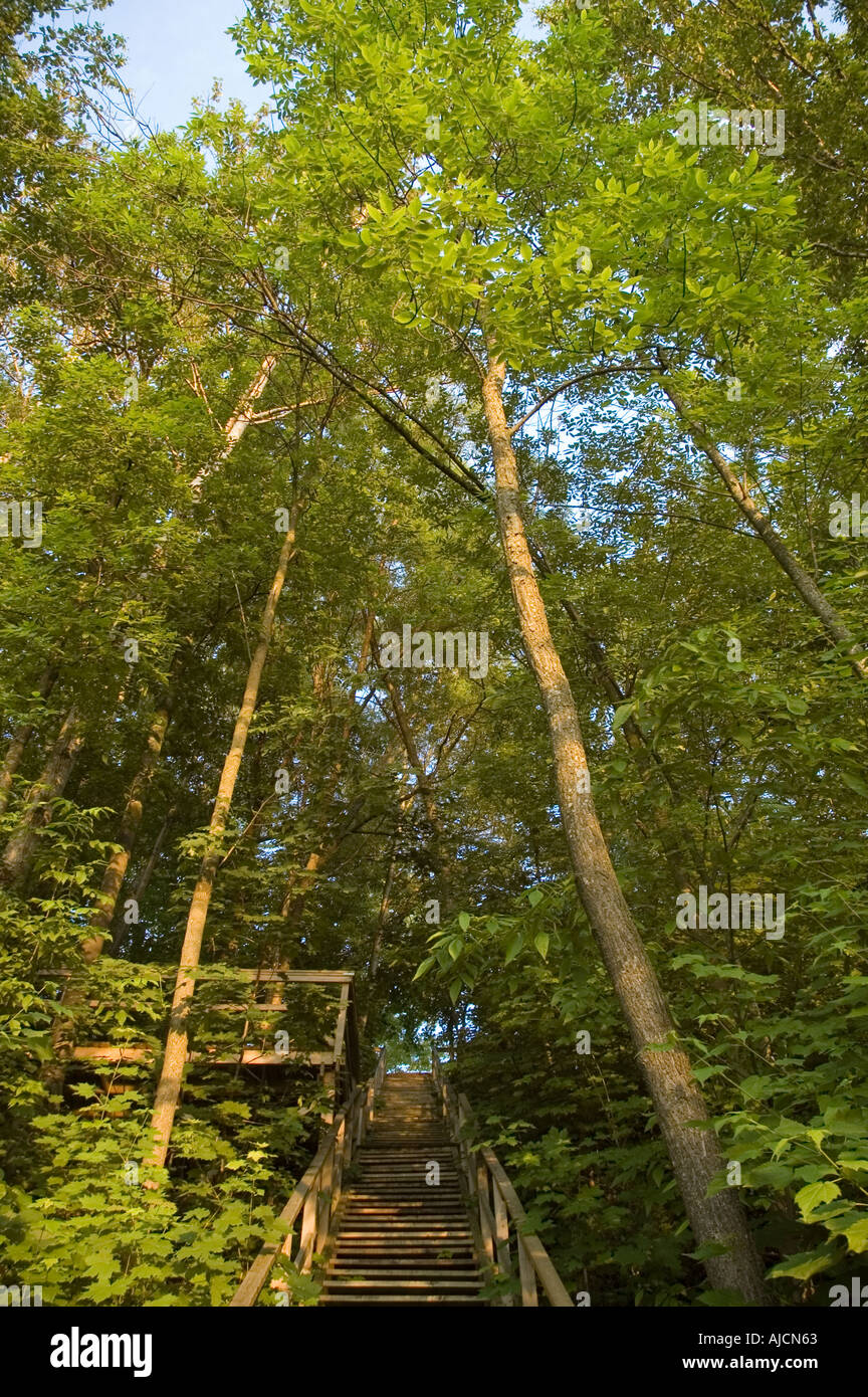 Donnacona hi-res stock photography and images - Alamy