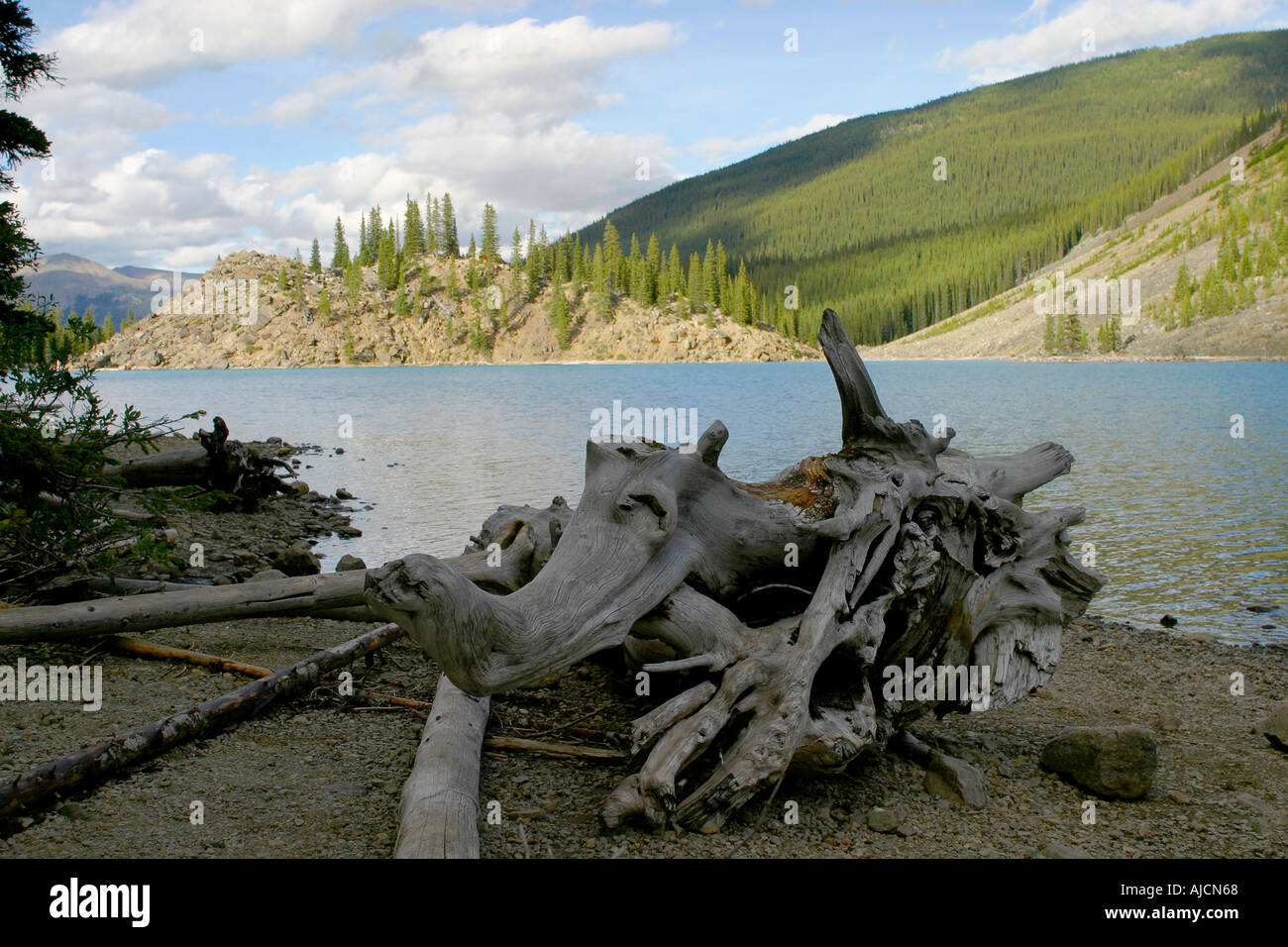 LANDSCAPE ; Banff National Park, Alberta, Canada Stock Photo - Alamy