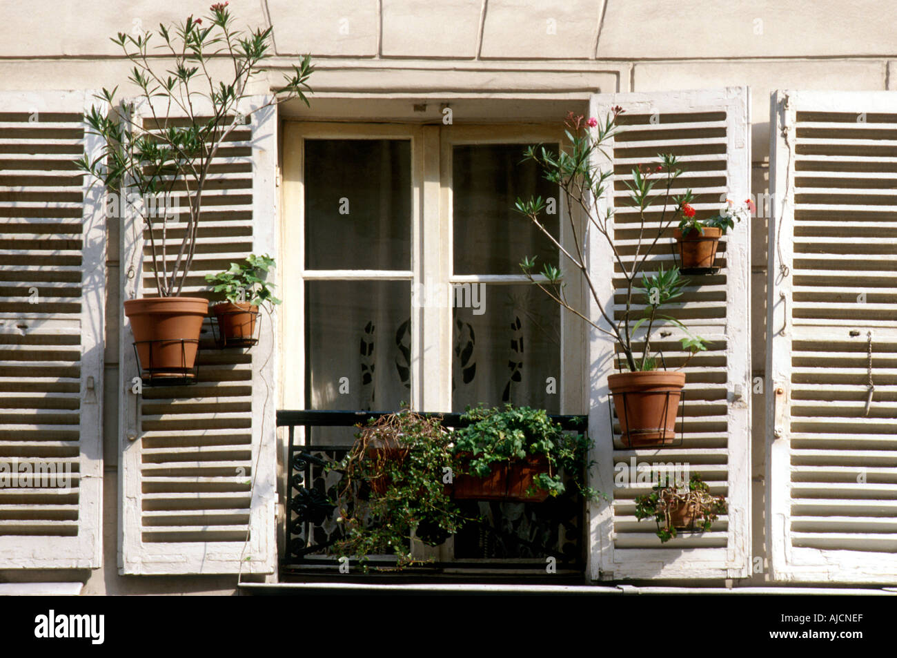 Window shutter with plant in Paris September 2001 Stock Photo - Alamy