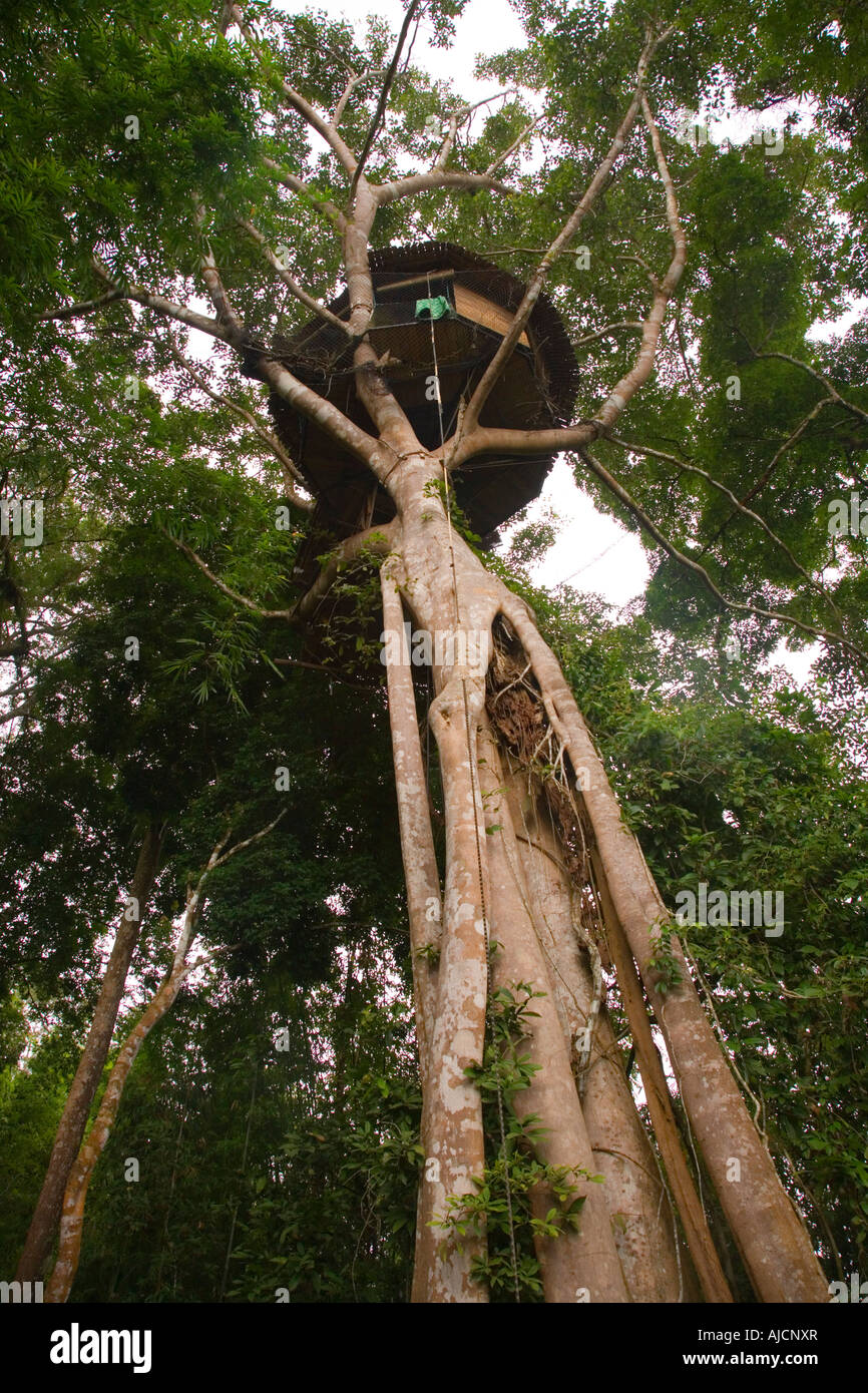 Gibbon experience treehouse laos hi-res stock photography and images ...