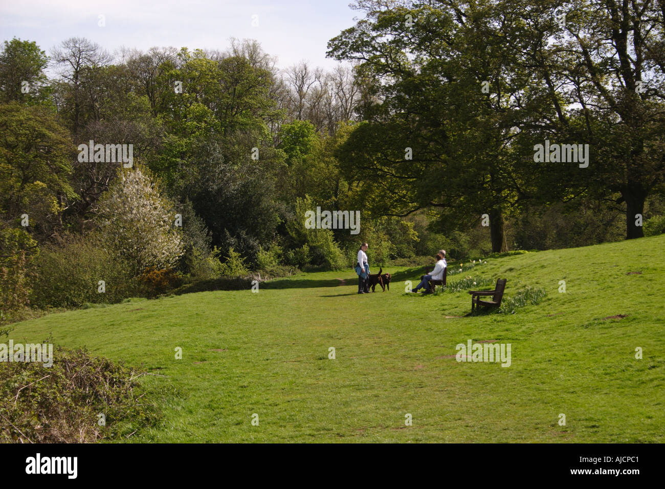 Ampthill park hi-res stock photography and images - Alamy