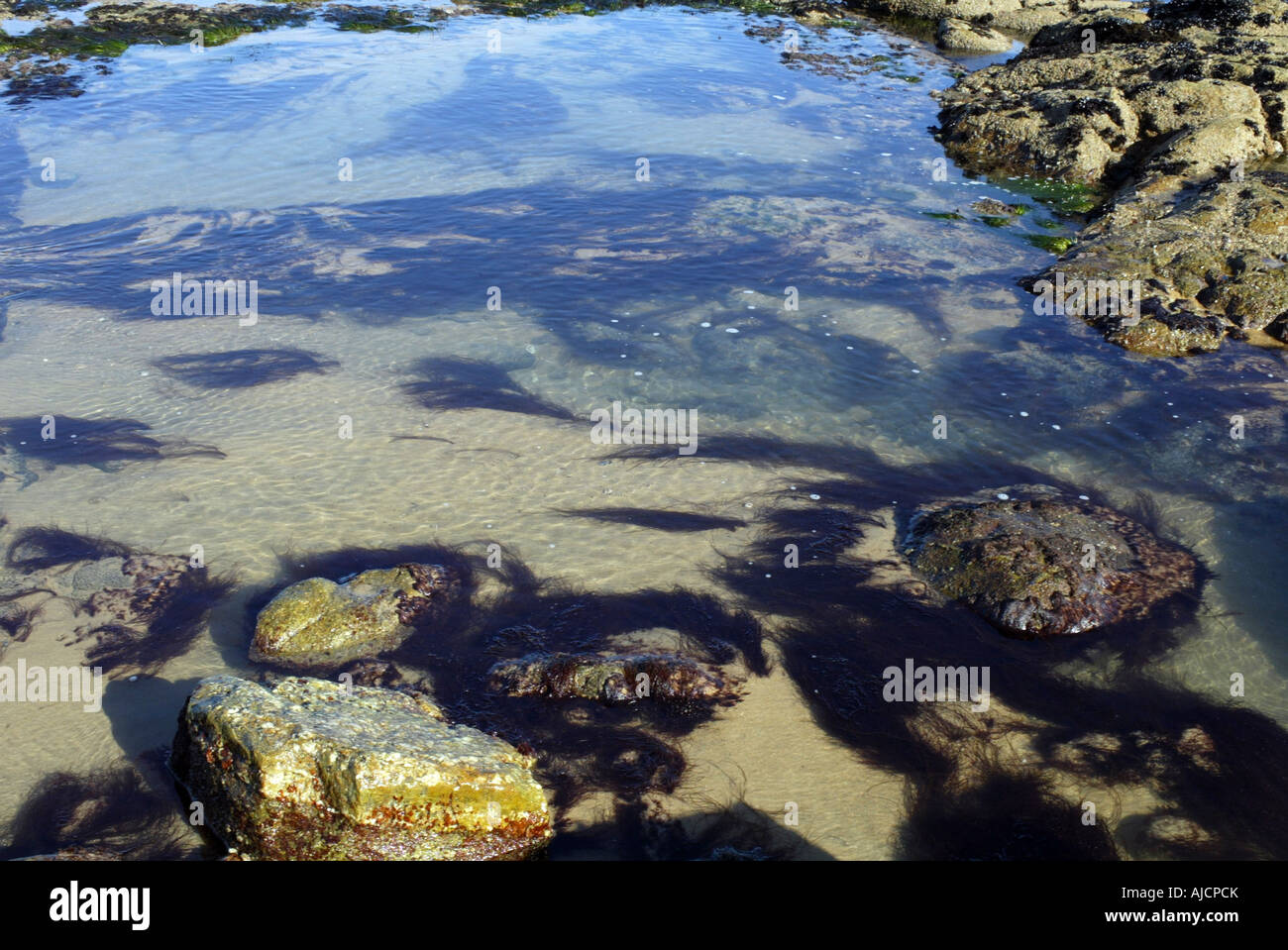 Small lagoon near beach Stock Photo - Alamy