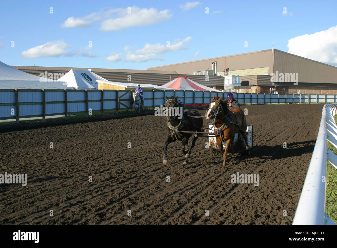 Agile chariot hi-res stock photography and images - Alamy