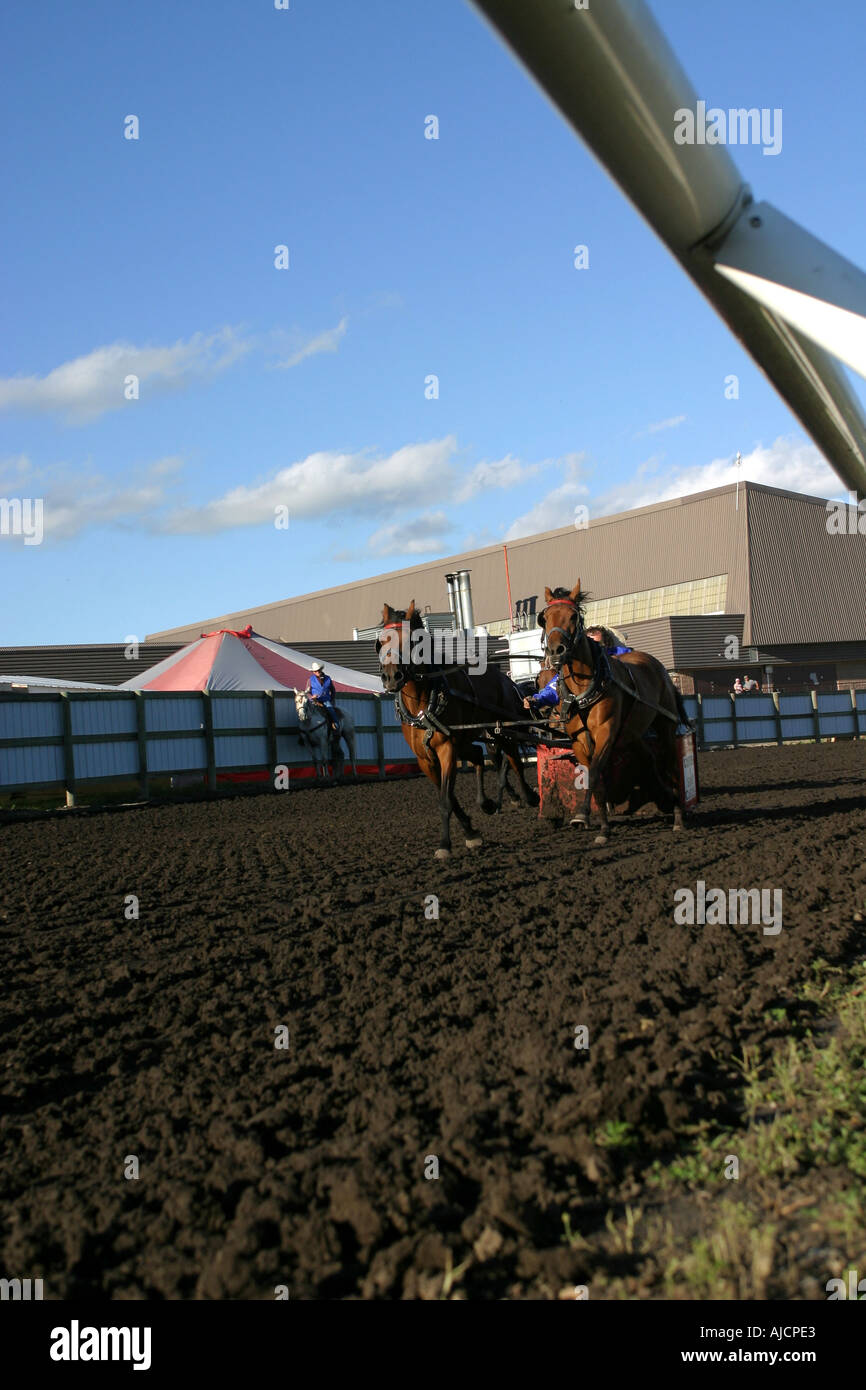 Agile chariot hi-res stock photography and images - Alamy