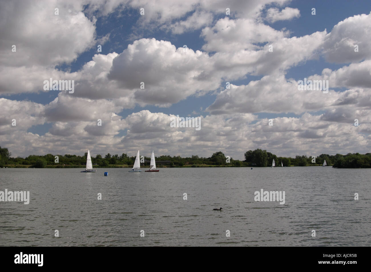 sailing on priory park lake Stock Photo - Alamy