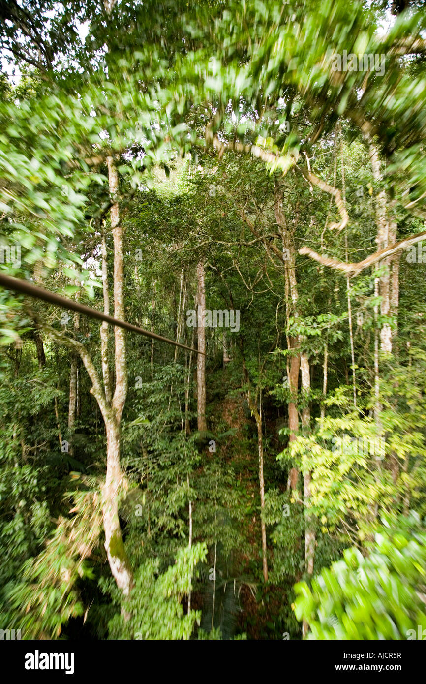 Moving through the tree canopy on a zip line at The Gibbon Experience ...
