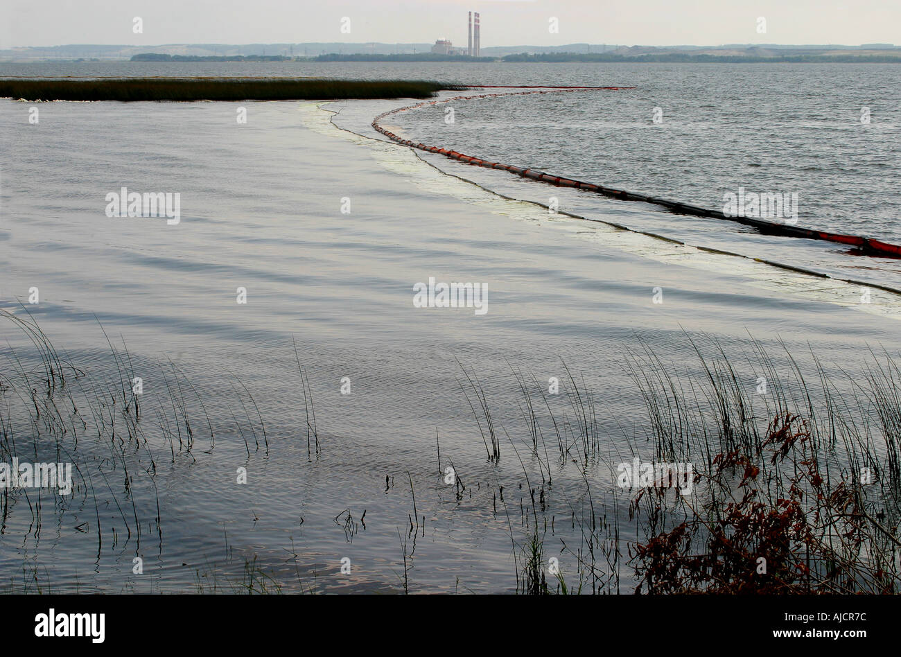 Oil spill - environmental disaster Stock Photo - Alamy