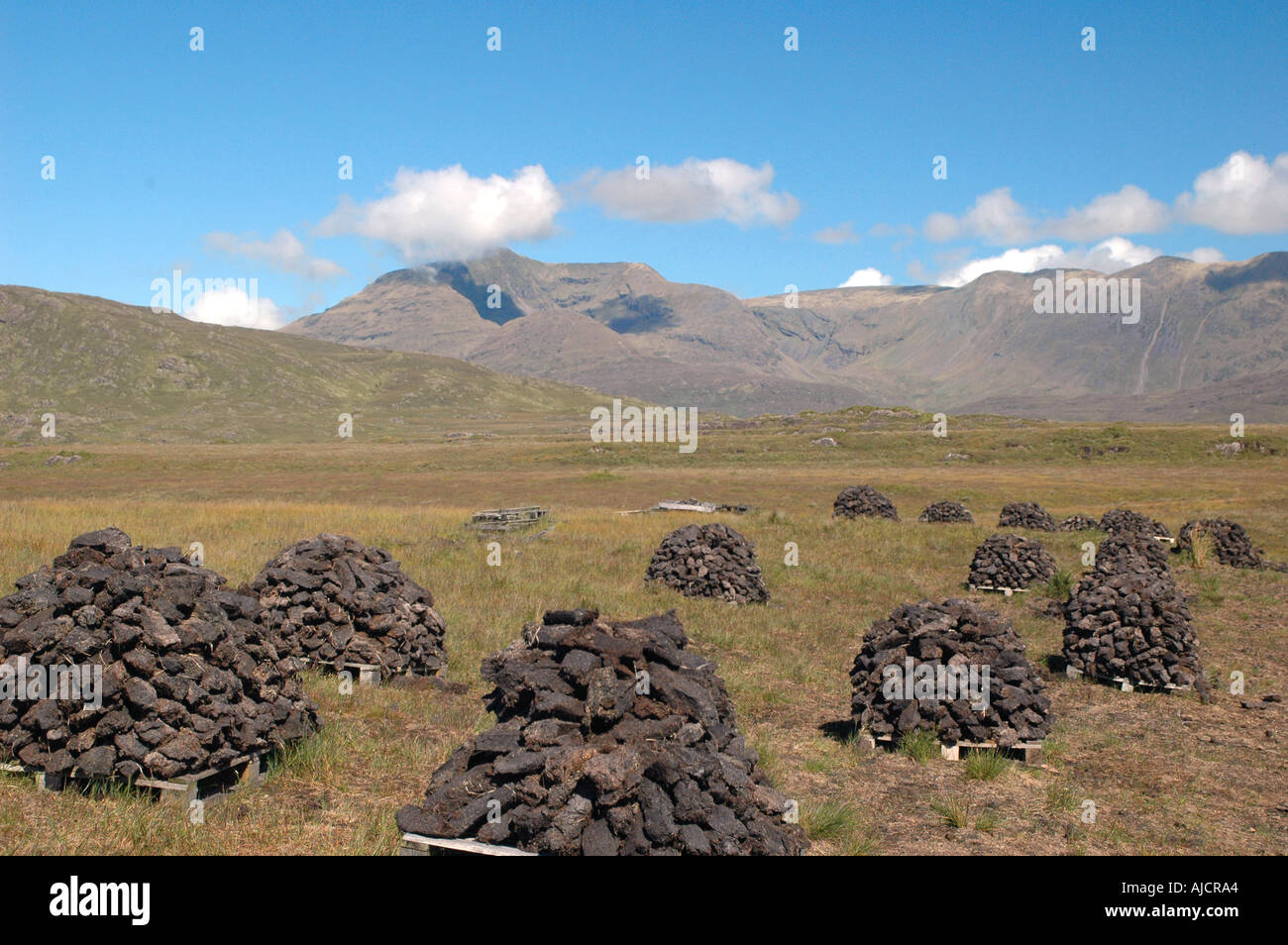Stacks of cut peat drying on racks in a bog in Connemara Galway Ireland ...