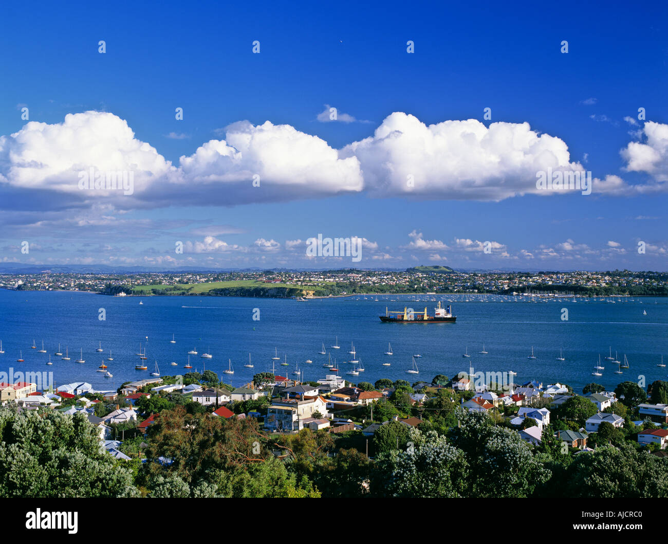 Harbourside view of Devonport Auckland New Zealand Stock Photo - Alamy