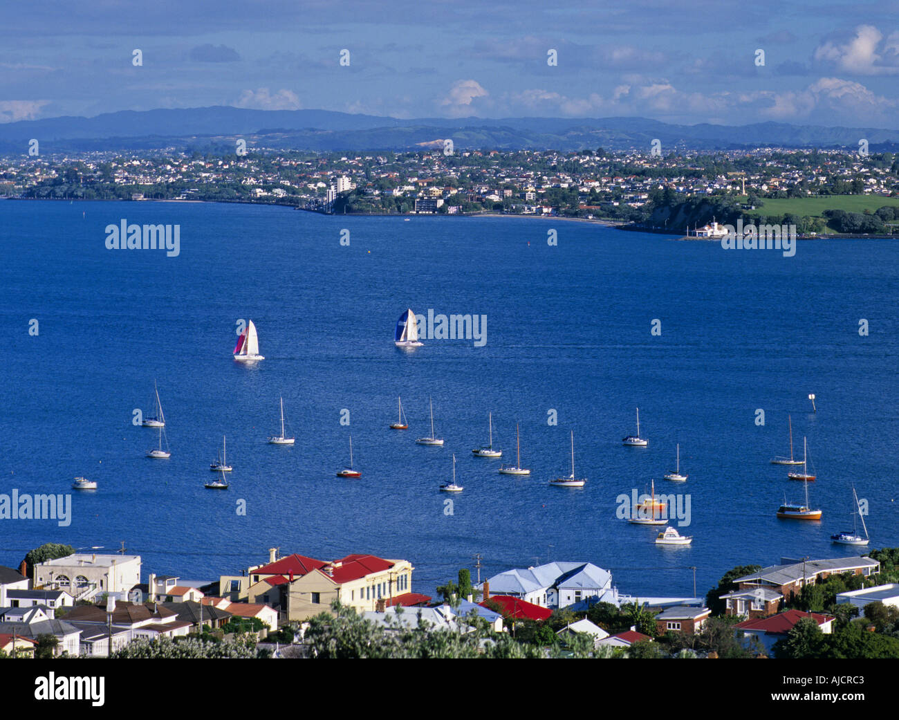 Harbourside view of Devonport Auckland New Zealand Stock Photo - Alamy