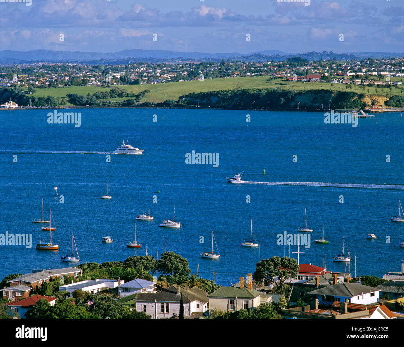 Harbourside view of Devonport Auckland New Zealand Stock Photo - Alamy