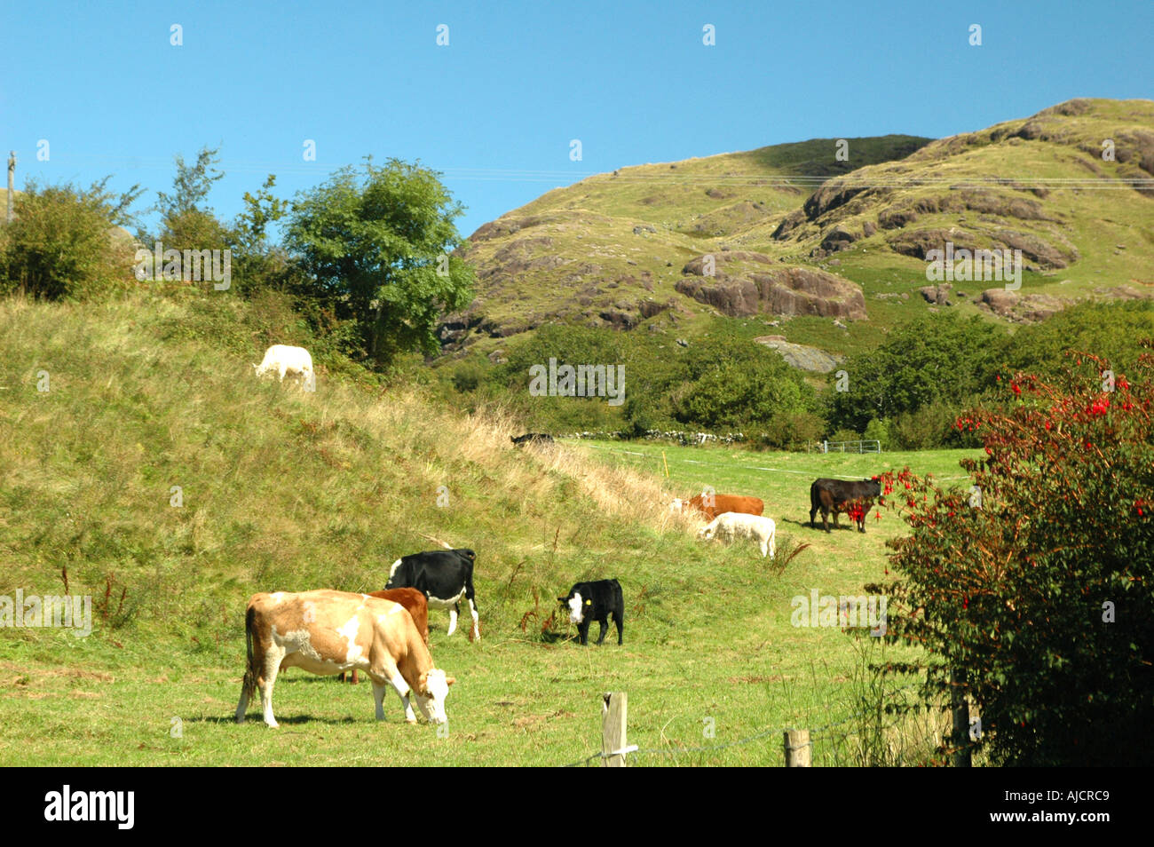 Village irish border hi-res stock photography and images - Alamy