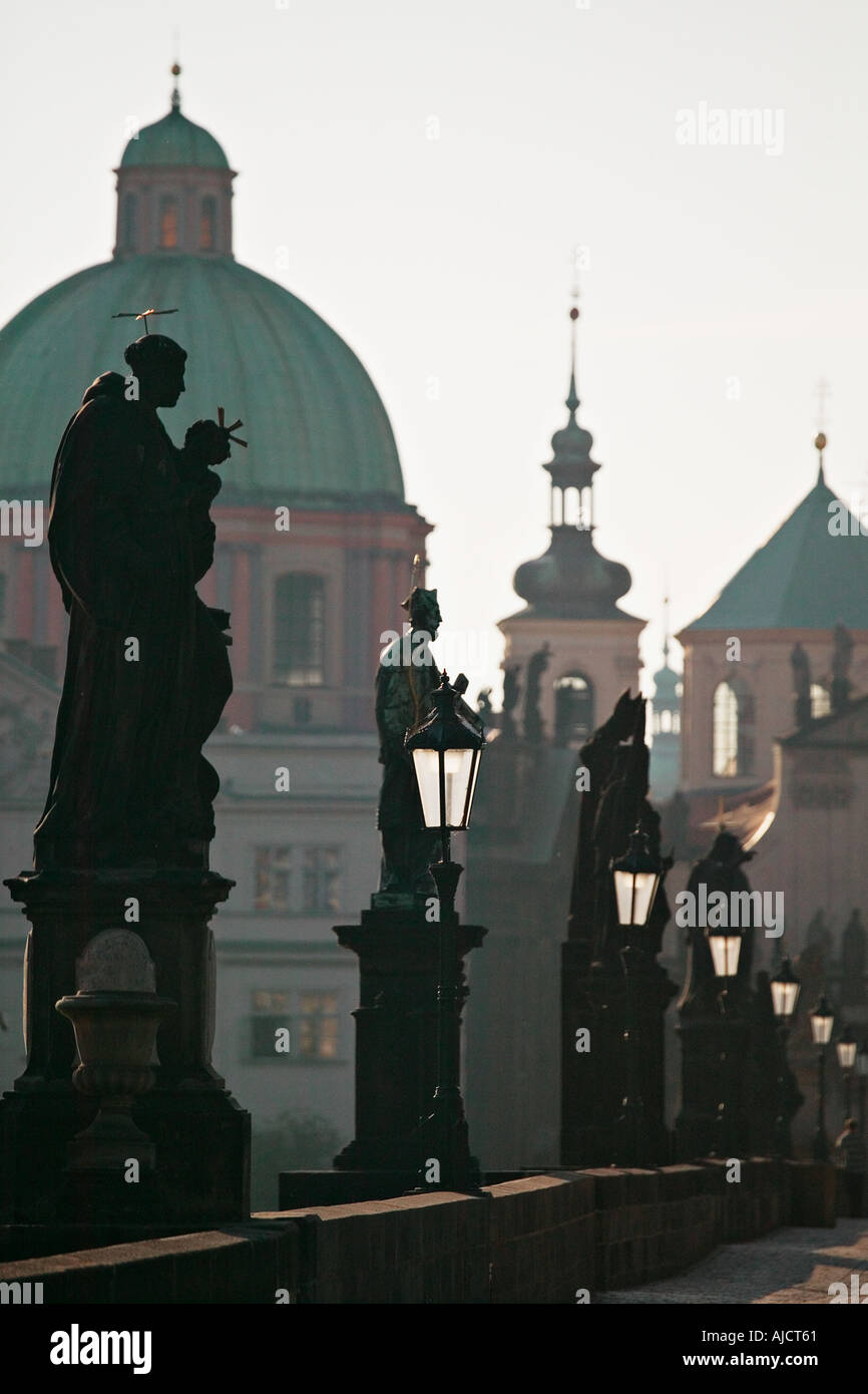 The Charles Bridge with Prague Castle and Hradcany sitting on the ...