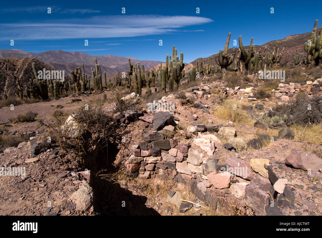 Jujuy juella hi-res stock photography and images - Alamy