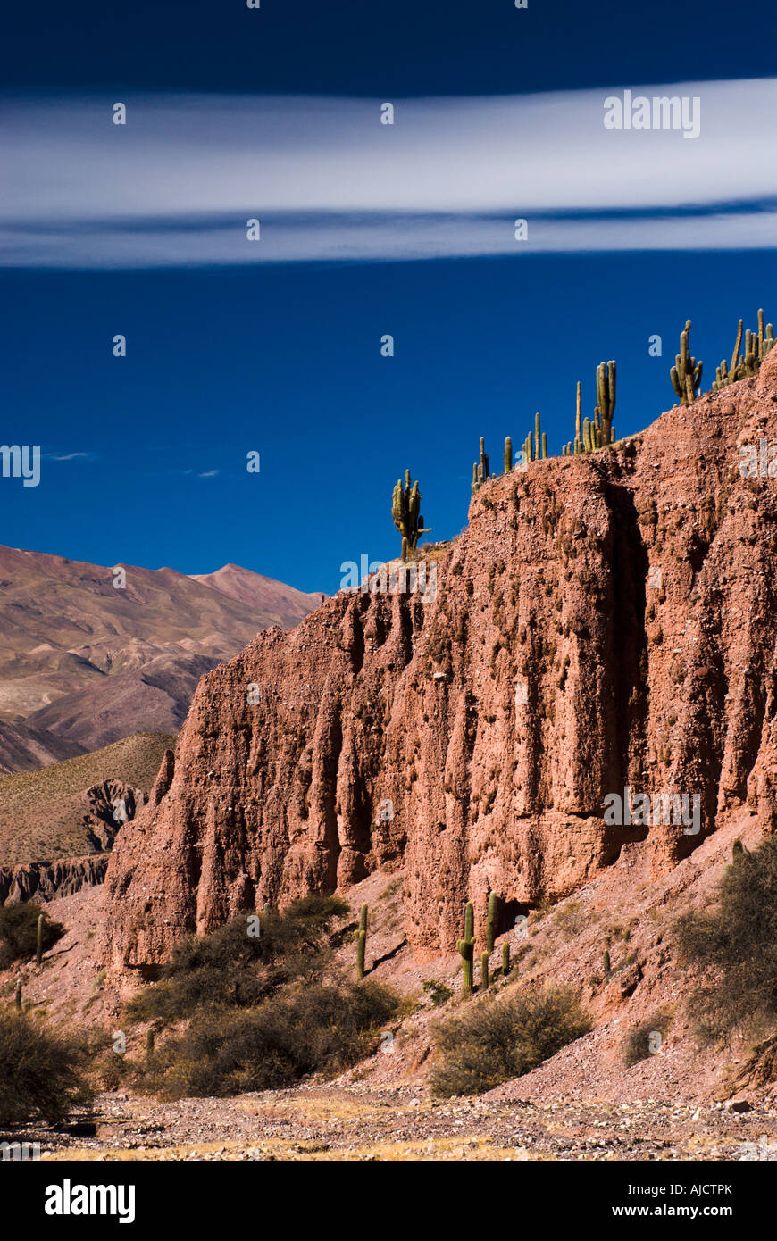 Juella jujuy province argentina hi-res stock photography and images - Alamy