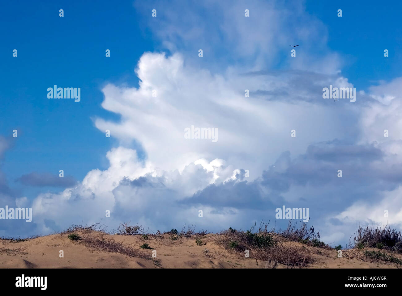 Monterey Beach with cloudy sky Stock Photo - Alamy