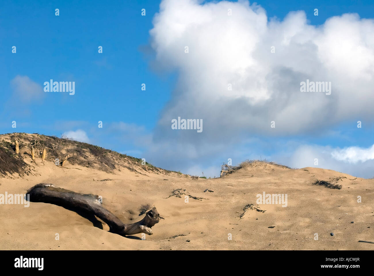 Monterey Beach with cloudy sky Stock Photo - Alamy