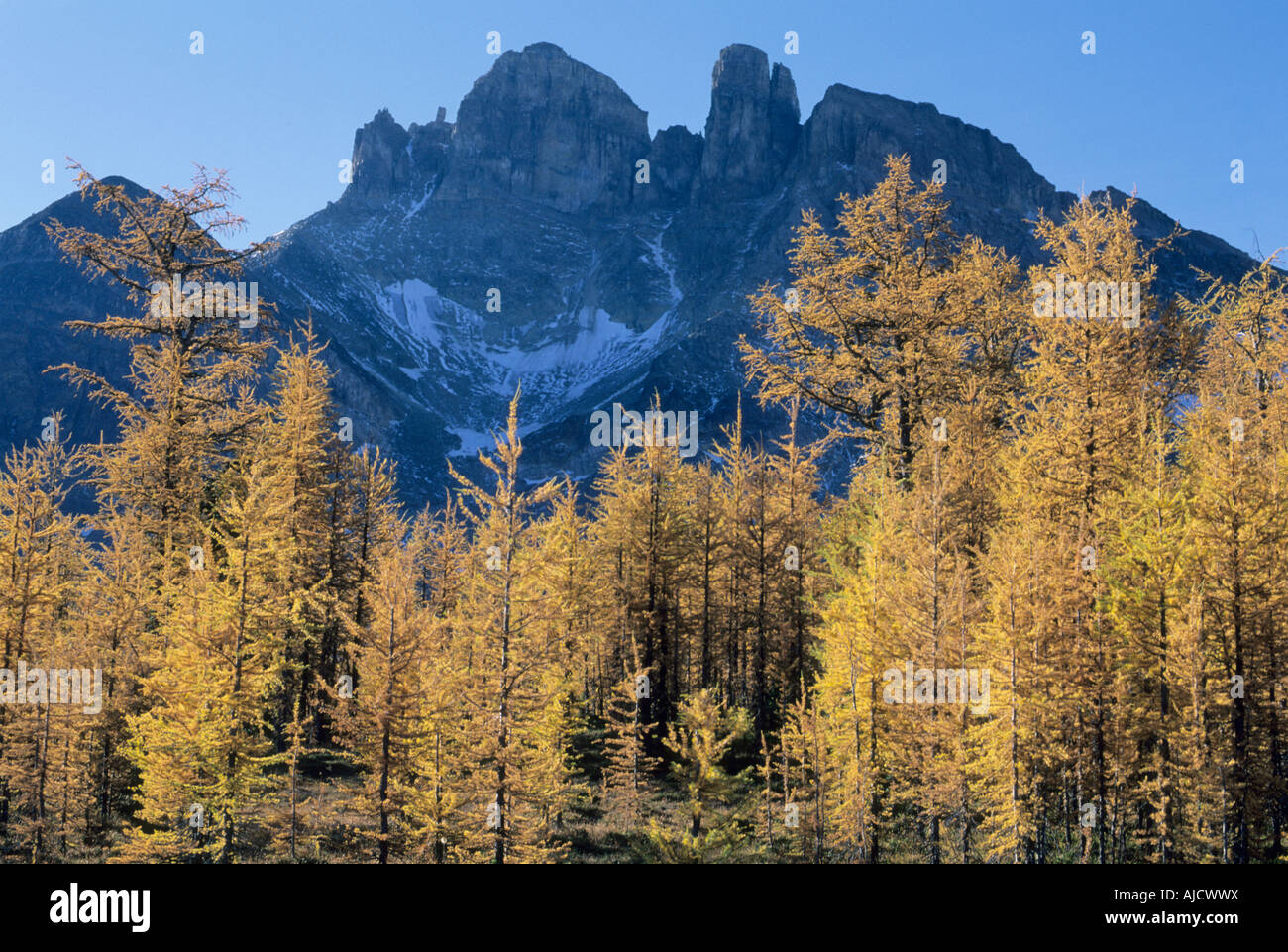 Mt assiniboine provincial park hi-res stock photography and images - Alamy