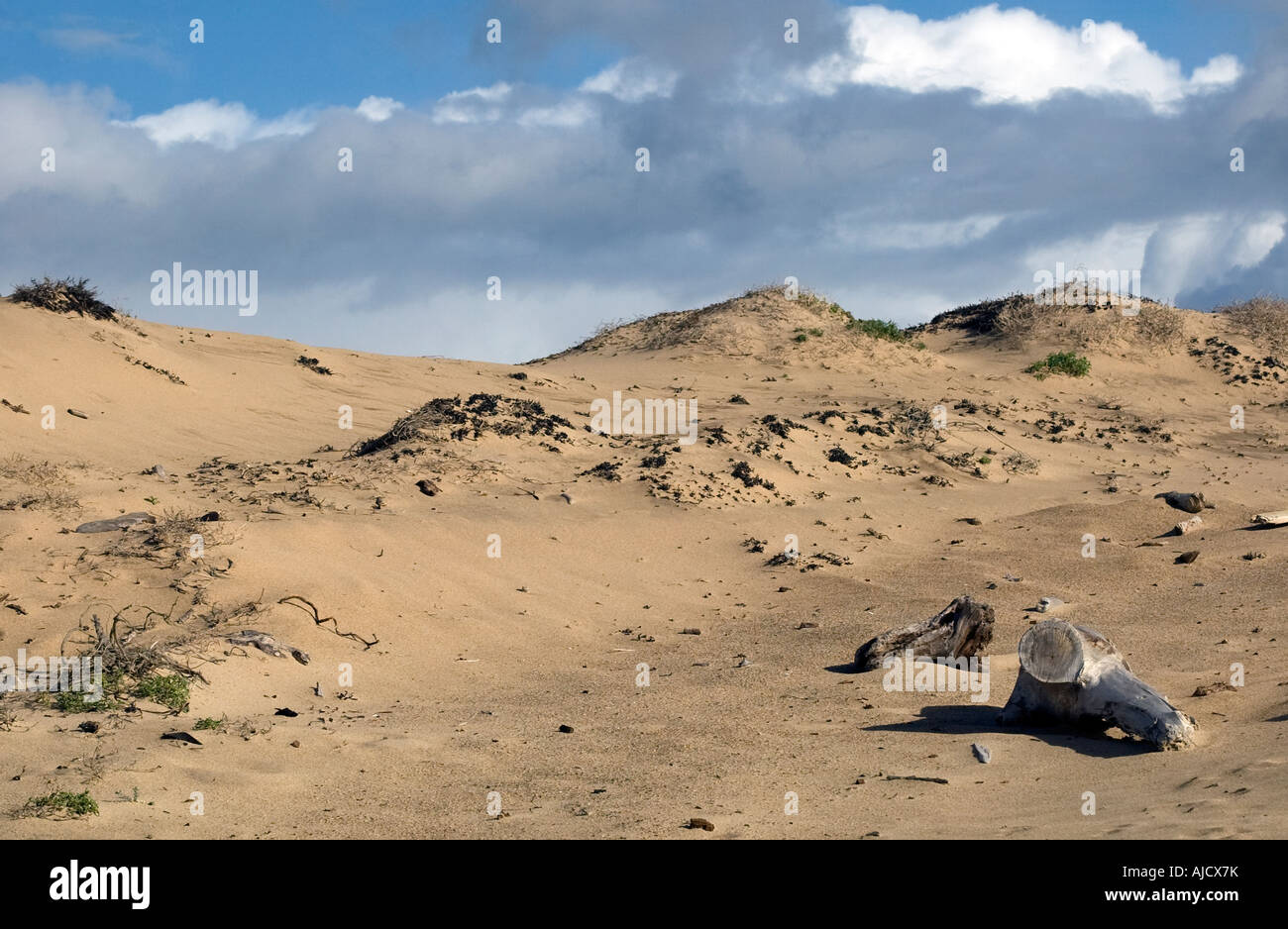 Monterey Beach with cloudy sky Stock Photo - Alamy