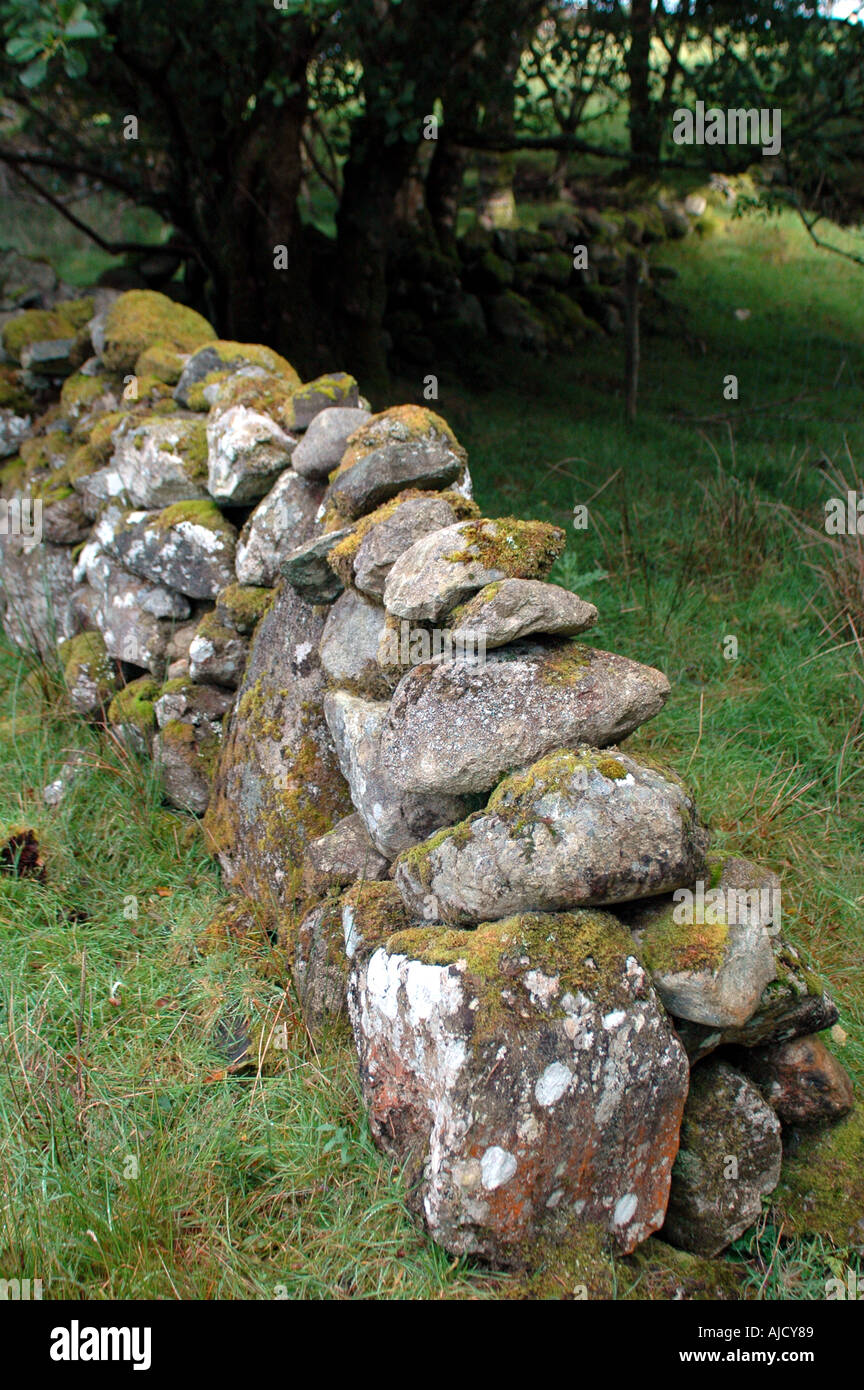 Dry stone wall with moss Connemara Galway Ireland Stock Photo - Alamy