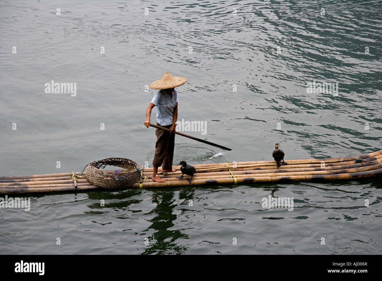 boatwoman and her birds on bamboo raft Li River Guilin China Stock ...