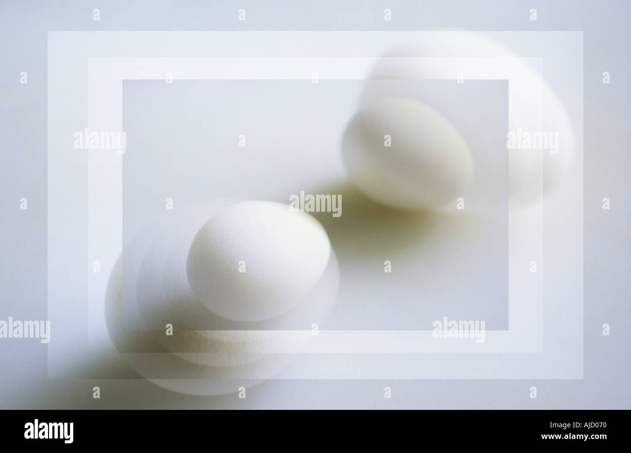 Two translucent eggs hi-res stock photography and images - Alamy