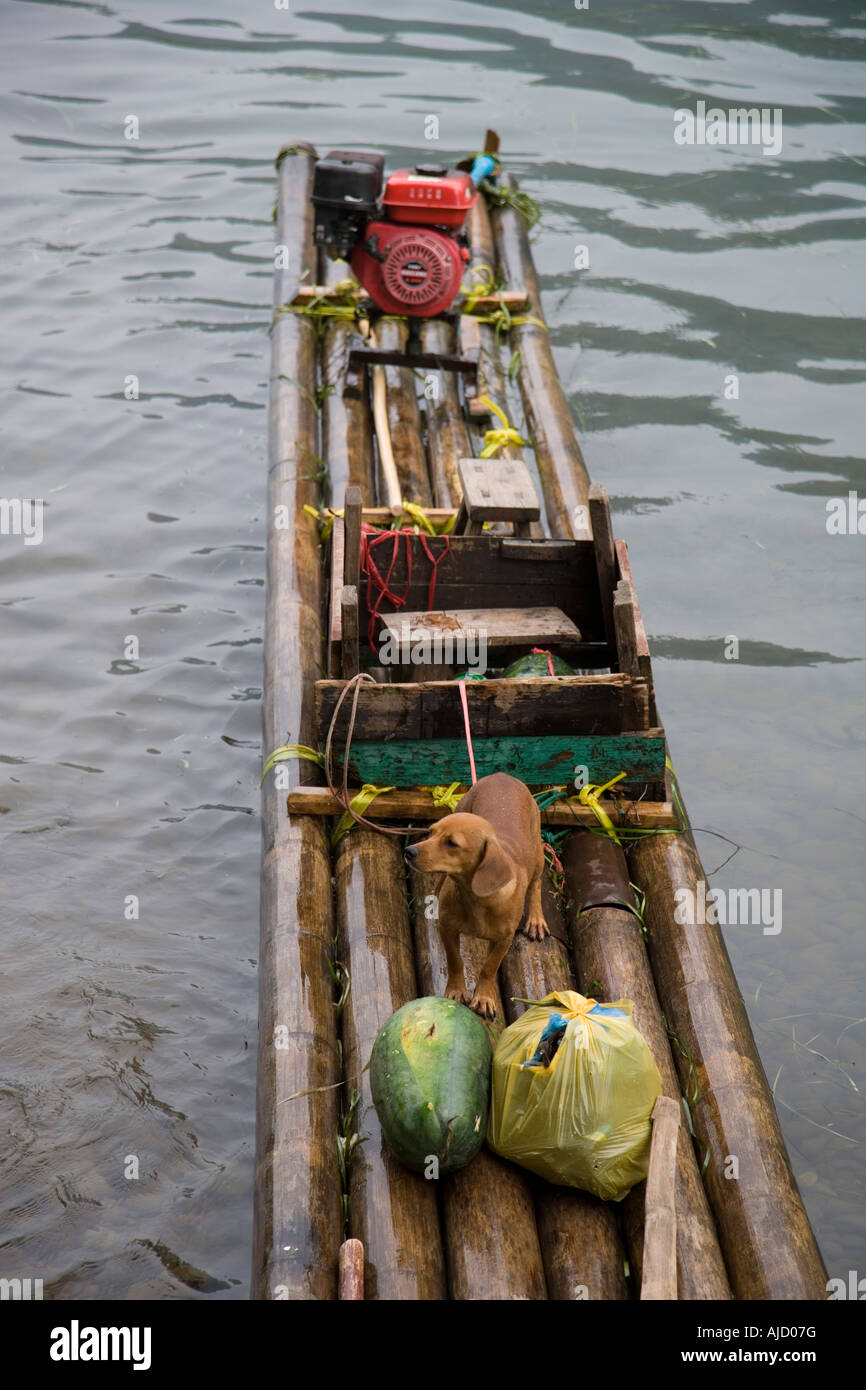 Dog on raft hi-res stock photography and images - Alamy