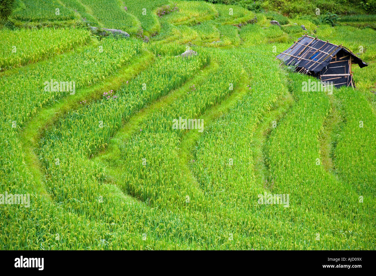 China landscapes hi-res stock photography and images - Alamy