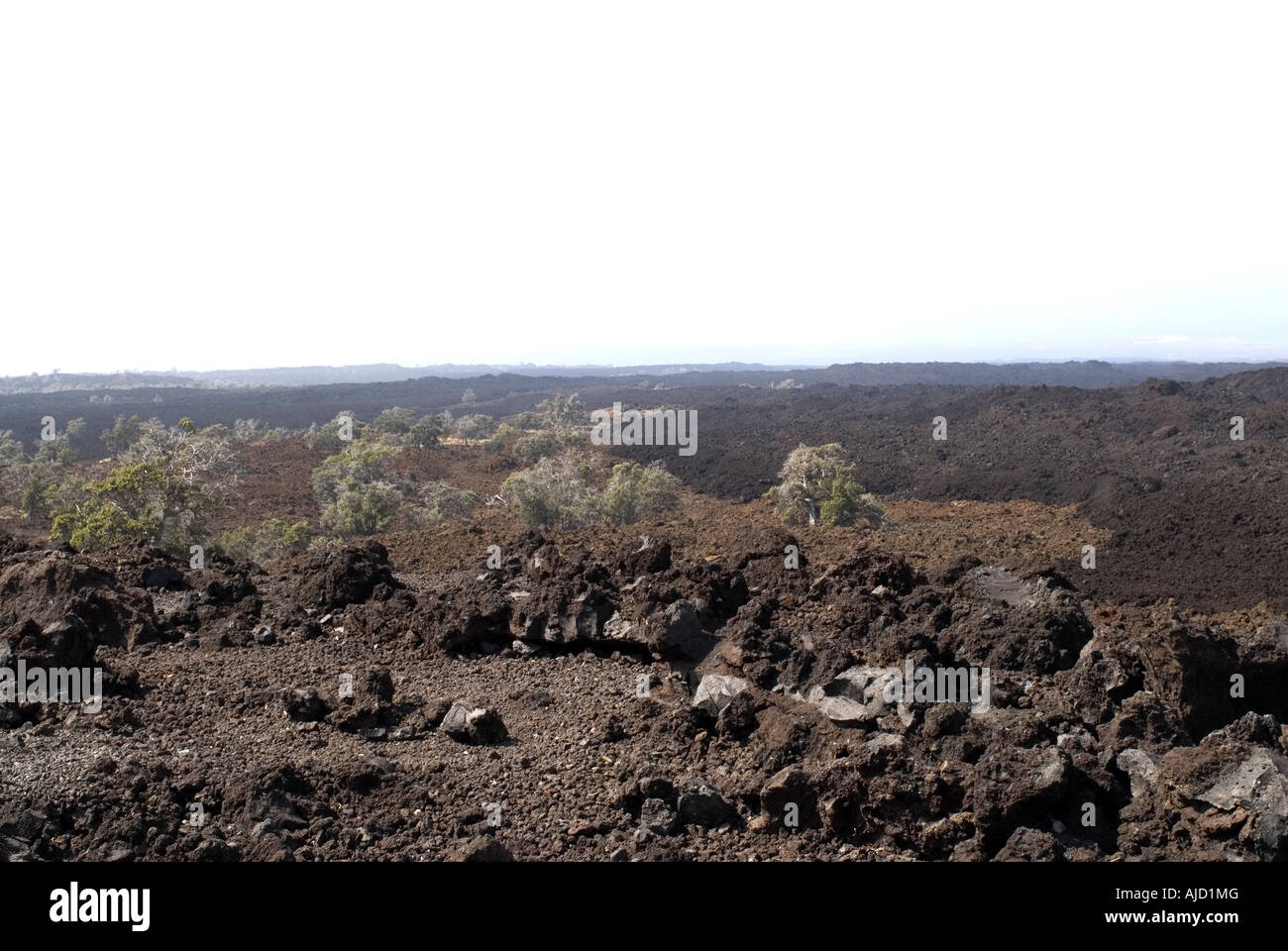 Volcanic Lava Field Stock Photo - Alamy